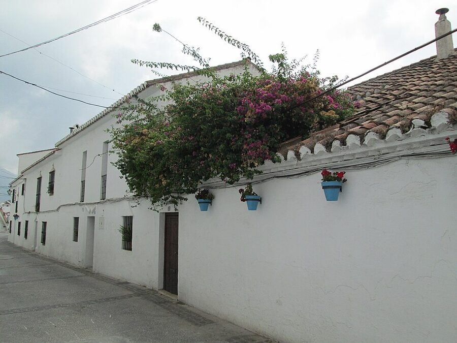 Narrow cobbled Mijas street between whitewashed houses