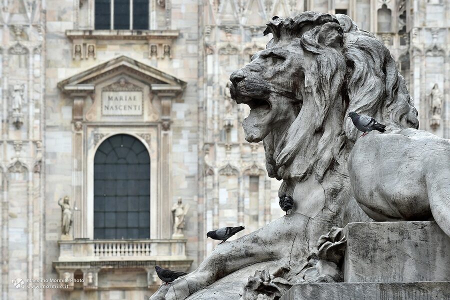 Lion statue near Milan Duomo piazza