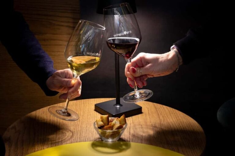 Milan: Wine Tasting Experience with Platter - A Closer Look at the Tasting