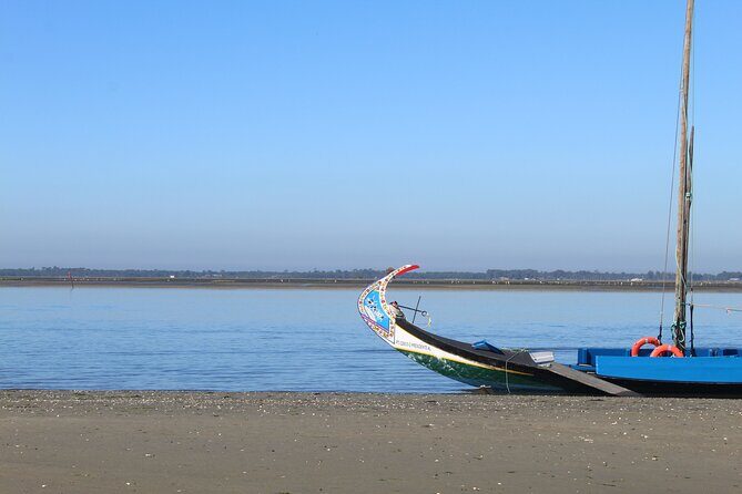 Moliceiro boat trip, with experience in bivalves harvesting - Who Should Consider This Tour?