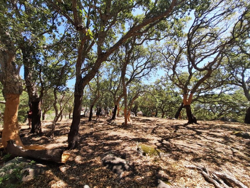 Monchique & Silves: guided day trip - How the Experience Comes Together
