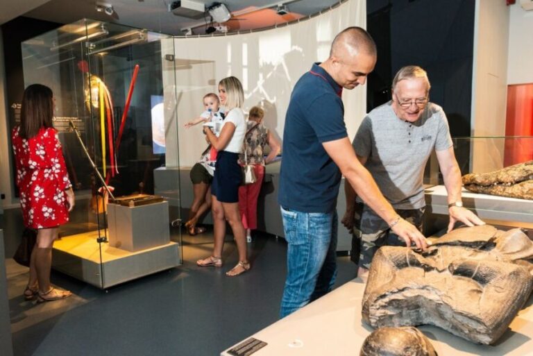 Mons : The Doudou Museum - Practical Aspects of Your Visit