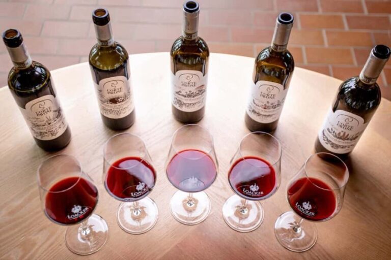 Montalcino: Winery Tour & Gourmet Brunello Vertical Tasting - Who Will Love This Tour?