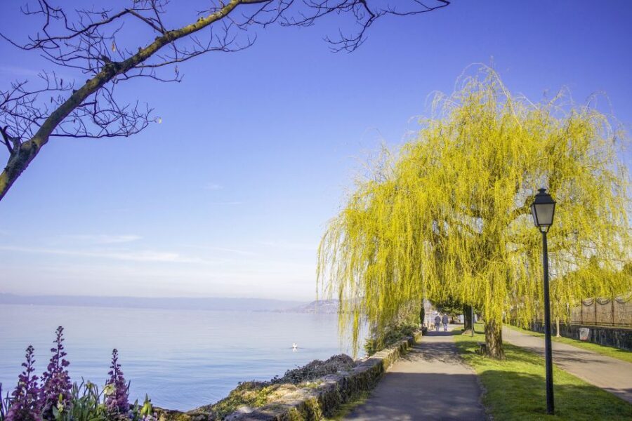 Montreux: Express Walk with a Local in 60 minutes - A Realistic Look at the 60-Minute Montreux Experience