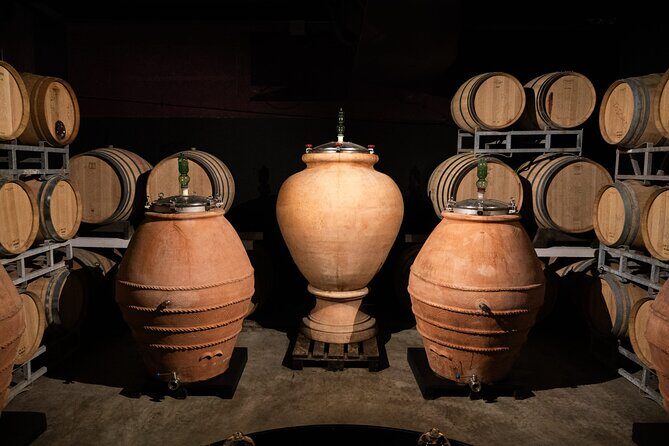 Morning Chianti E-Bike: Immersive Wine Experience & Local Lunch - Authentic Guest Perspectives