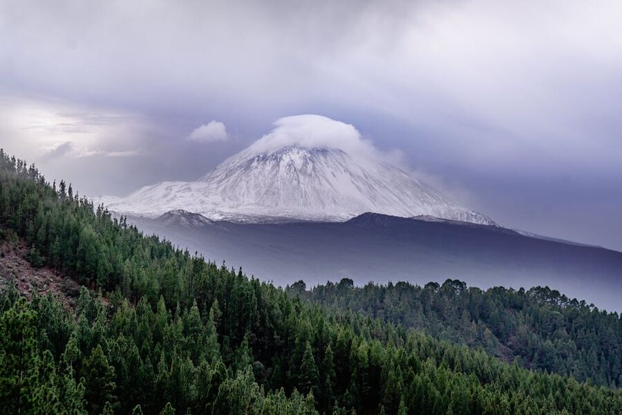 Snow on Mount Teide with green pine forest below
