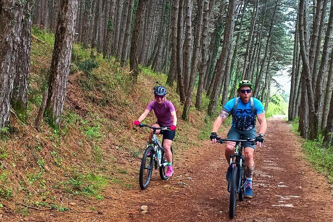 Mountain Biking on Vrmac peninsula - Panoramic view on Kotor bay - Summary