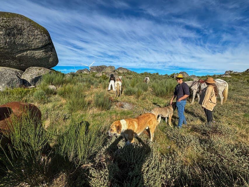 Mountain Horseback Ride & Lunch - The Farm-to-Table Lunch Experience