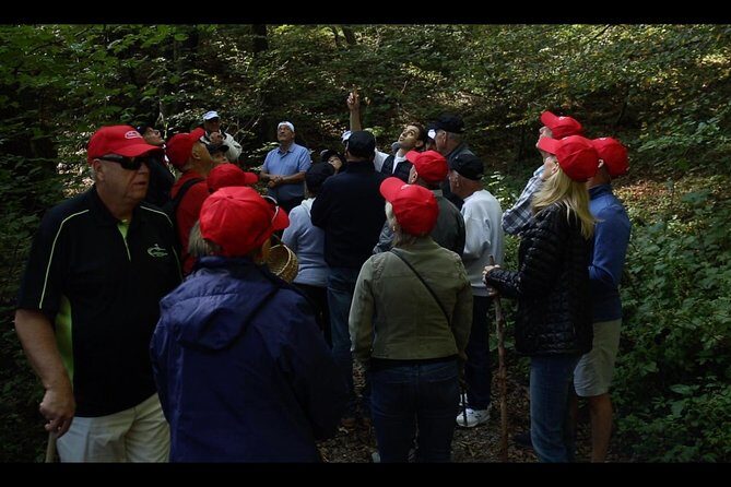 Mushroom or Truffle Hunting - The Value of this Experience