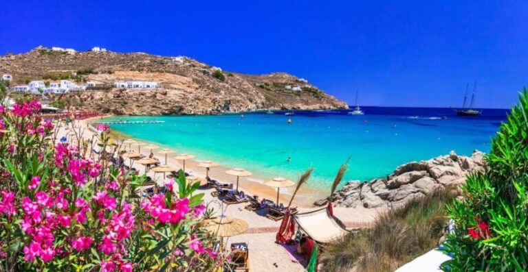 Mykonos Delight: A Perfect Day Trip from Your Cruise Ship - What Makes This Tour Stand Out?