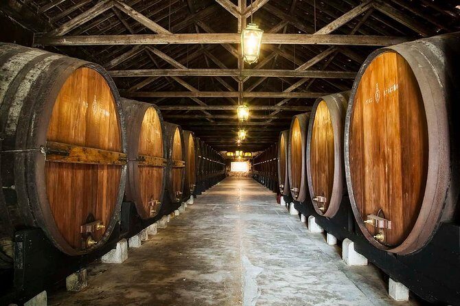 Nature, Wines and Ceramic Tiles: Private Tour - Transportation, Timing, and Overall Value
