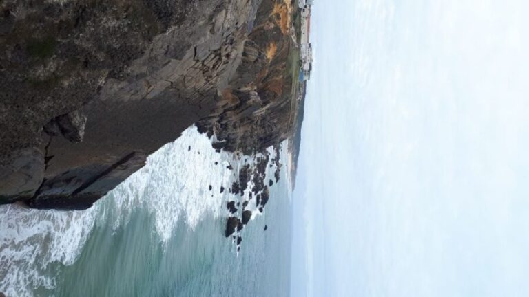 Nazaré: Beaches of Nazaré Guided E-Bike Tour - Who Would Love This Tour?