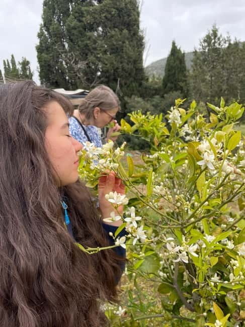 Near Cagliari: Wild Herbs and Healing at "In Our Garden" - Practical Details and Accessibility