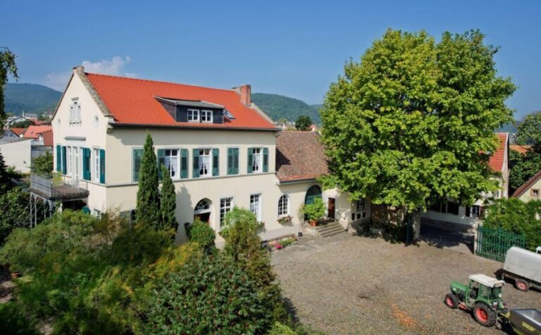 Neustadt: Wine tasting with cellar tour and vineyard visit - Overall value and who it suits