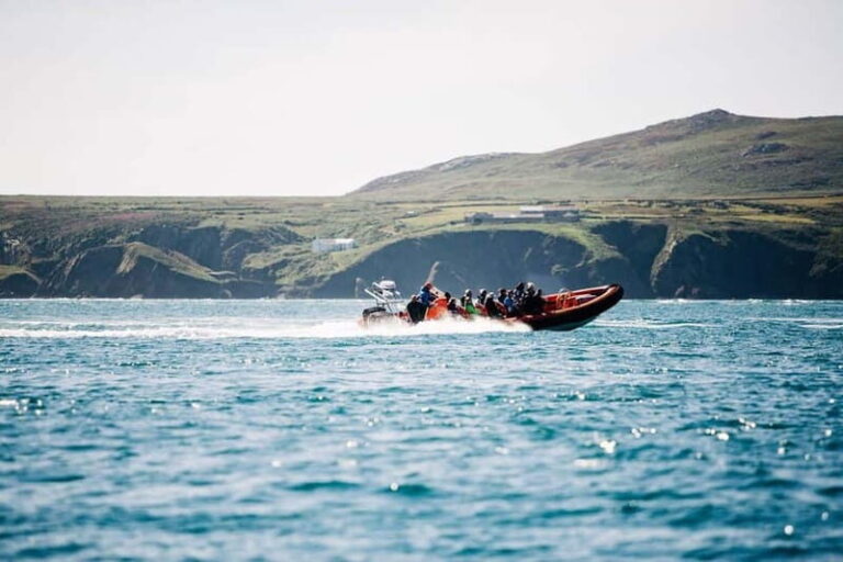 Newhaven: Seven Sisters and Birling Gap Boat Tour - Wildlife and Seasonal Sightings
