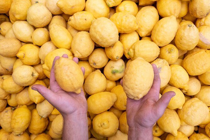 Nonno Mario Sorrento Lemon tour - FAQs