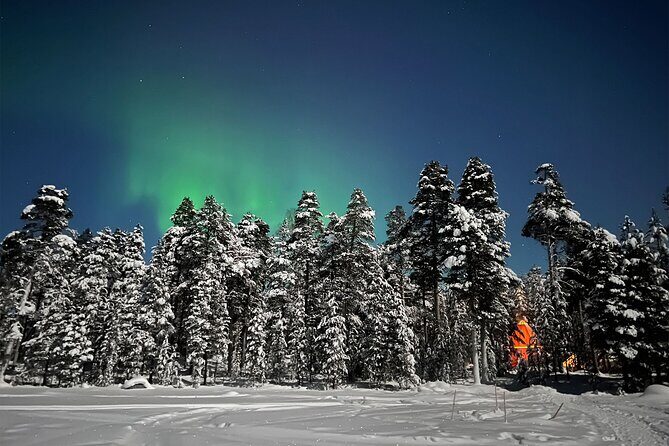 Northern Lights Holiday in Finland - The Value of the Tour