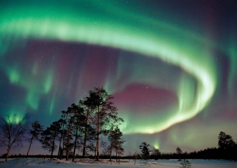 Northern Lights Hunting with Aurora Workshop - Overview of the Tour and Its Highlights