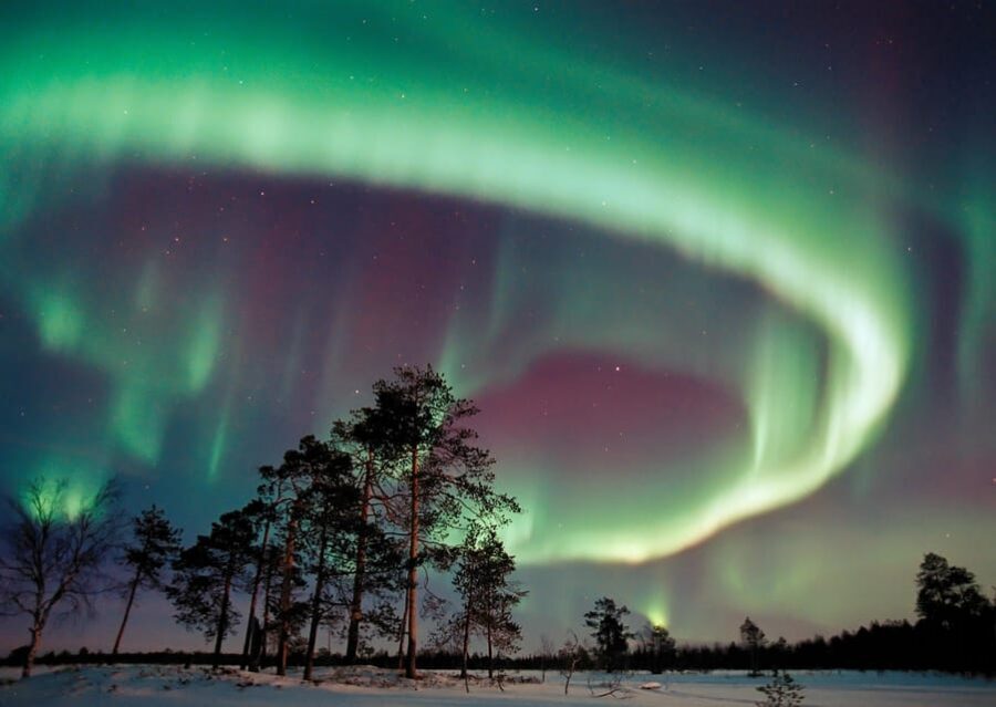 Northern Lights Hunting with Aurora Workshop - Overview of the Tour and Its Highlights