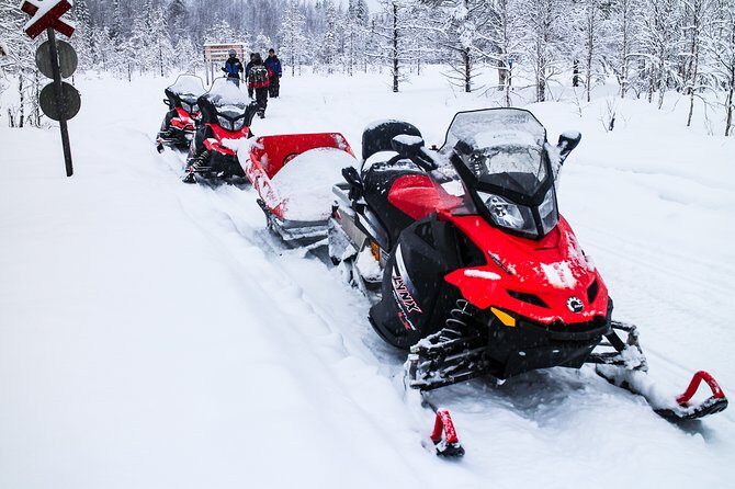 Northern Lights Snowmobile Sleigh Ride - An In-Depth Look at the Tour