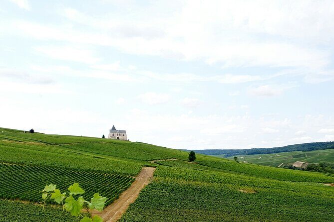 Not Your Average Champagne Tour - Day Trip From Paris (Private) - Practical Tips for Future Travelers