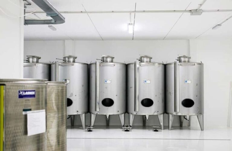 Olive Oil Mill Tour with Tasting near Molfetta & Bari - Is This Tour Worth It?