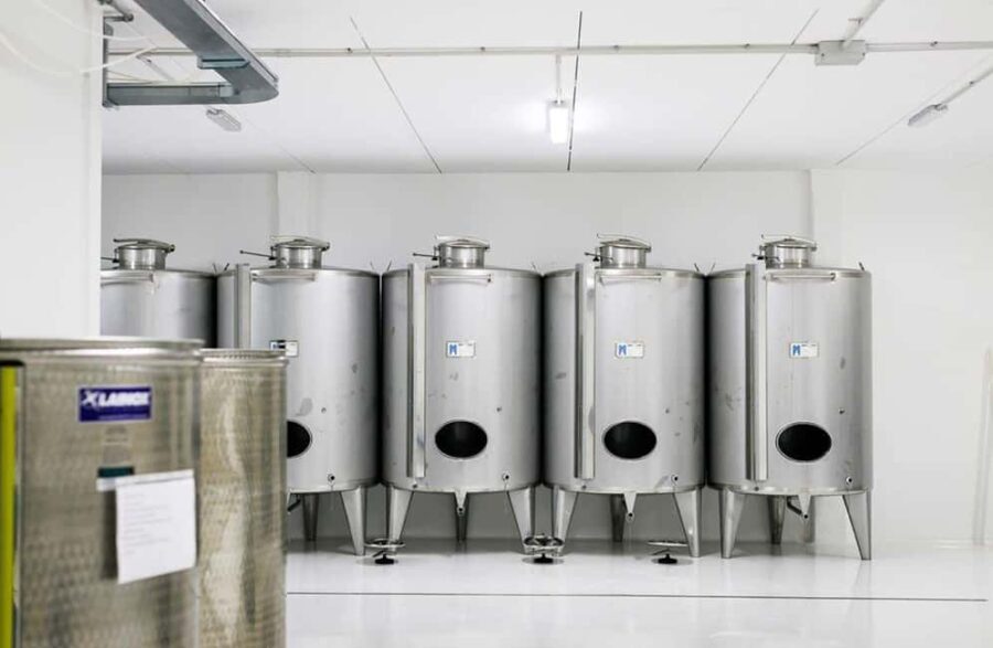 Olive Oil Mill Tour with Tasting near Molfetta & Bari - Is This Tour Worth It?