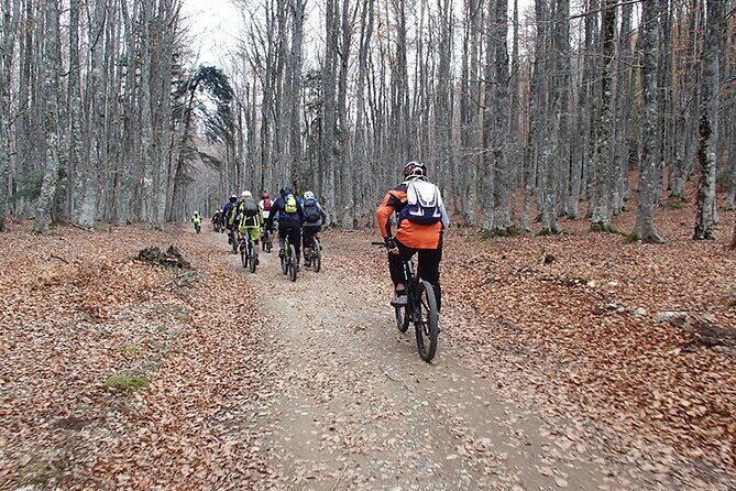 Olympus Mountain Biking - Rides tailored to you - The Experience from Actual Riders
