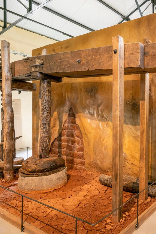 Oppède: Olive Oil Museum Visit - What Can You Expect During the Visit?