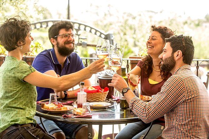 Organic Wine Tasting & Lunch Experience on Mt Vesuvius - Who Is This Tour Best For?