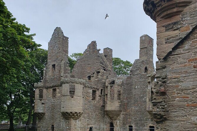 Orkney Islands Private Full Day Tour - The Authentic Experience: What Travelers Say