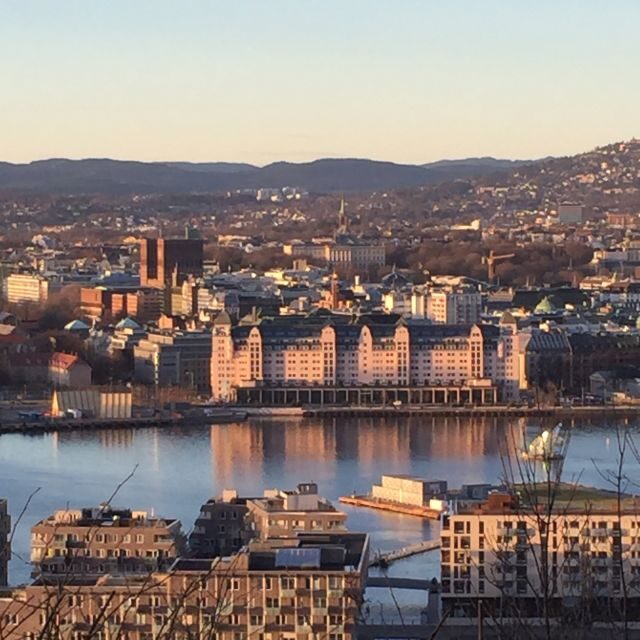 Oslo: City Walking Tour - Who Should Book This Tour?