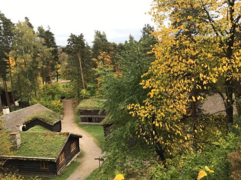 Oslo: Norwegian Explorers and Culture 3 Museum Tour - Analyzing the Value & Practicalities