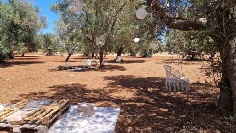 Ostuni: San Vito dei Normani: Organic Picnic in Olive Grove - The Reality of the Experience: Insights from Guests