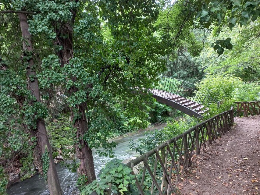 Padua Small-Group Walking Tour: Top Sights & Hidden Gems - What You Can Expect from the Experience
