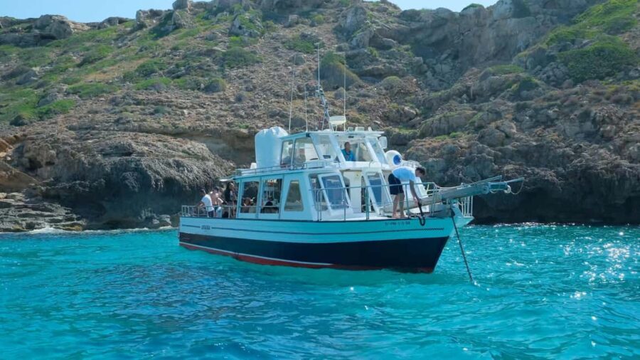 Palma de Mallorca: Cala Vella Snorkeling Adventure - The Itinerary: What Falls into Your 2 Hours