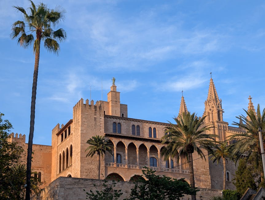 Palma Cathedral and palm trees against blue sky