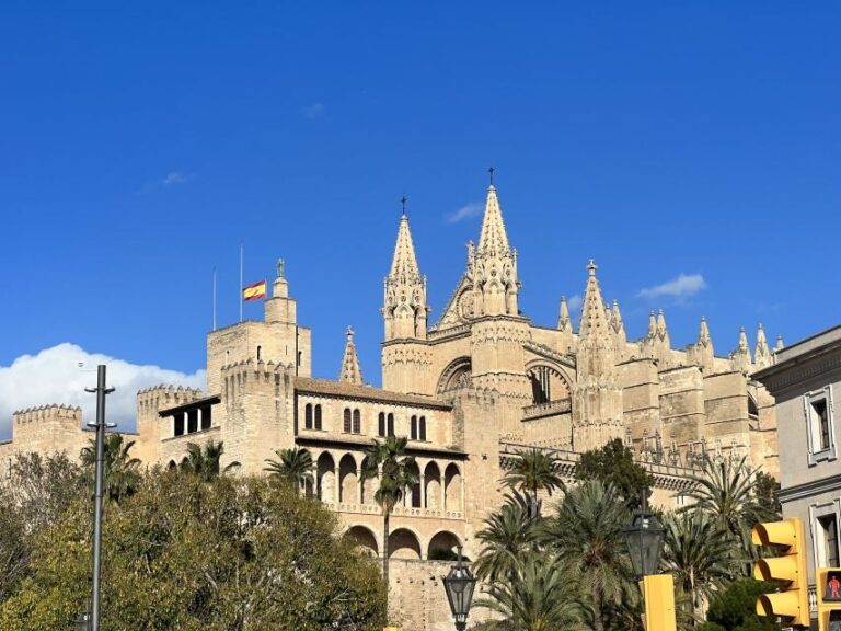 Palmas sightseeing highlights in a private and exclusive way - What You Can Expect During This 2-Hour Tour