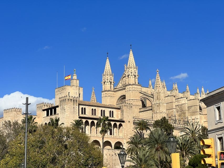 Palmas sightseeing highlights in a private and exclusive way - What You Can Expect During This 2-Hour Tour