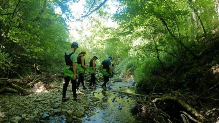 Papigo Zagori: Nefeli Gorge Canyoning - Authenticity and Review Insights