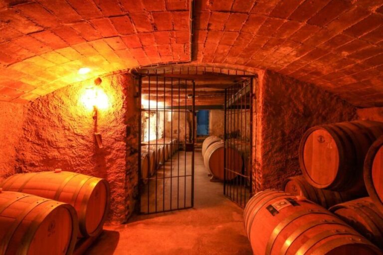Paris: Two Reims Champagne Vineyards with Tastings and Lunch - Champagne Vineyards and Tastings
