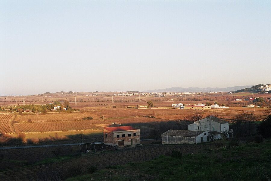 Penedès vineyards stretching across Catalonia hills
