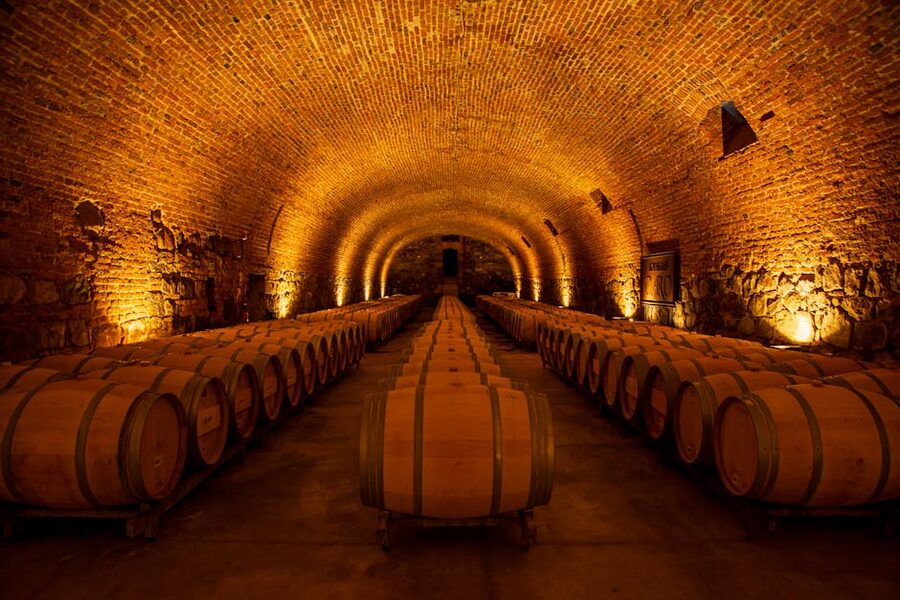 Underground wine cellar with rows of oak barrels in Penedes