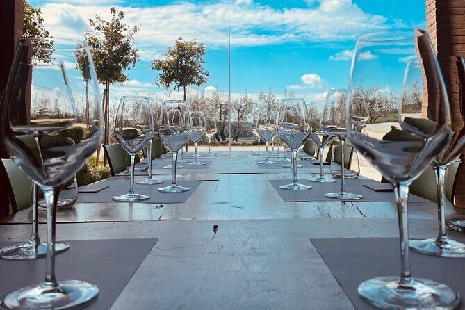 Picnic and Lugana Tour at Perla del Garda winery - Why This Tour Is a Great Choice