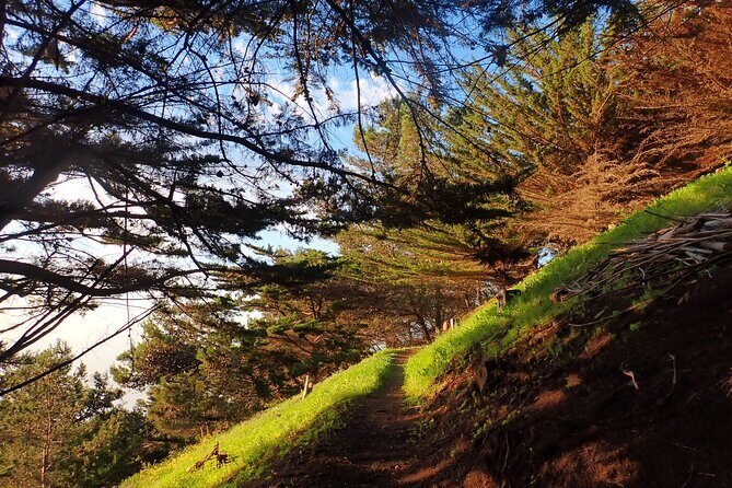 Pico do Facho Panoramic Trail - Additional Considerations