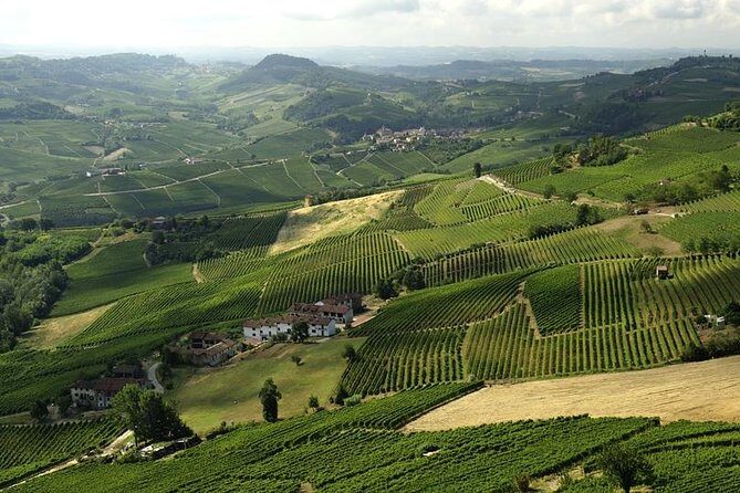 Piemonte Vineyards by Yourself from Turin - Business Car with English Chauffeur - Why This Tour Offers Great Value