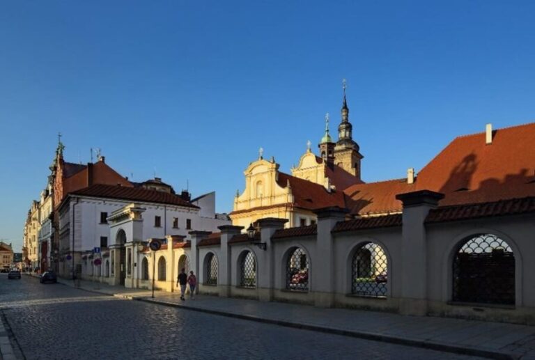 Pilsen: Old Town Guided Walking Tour - Practical Details and Tips