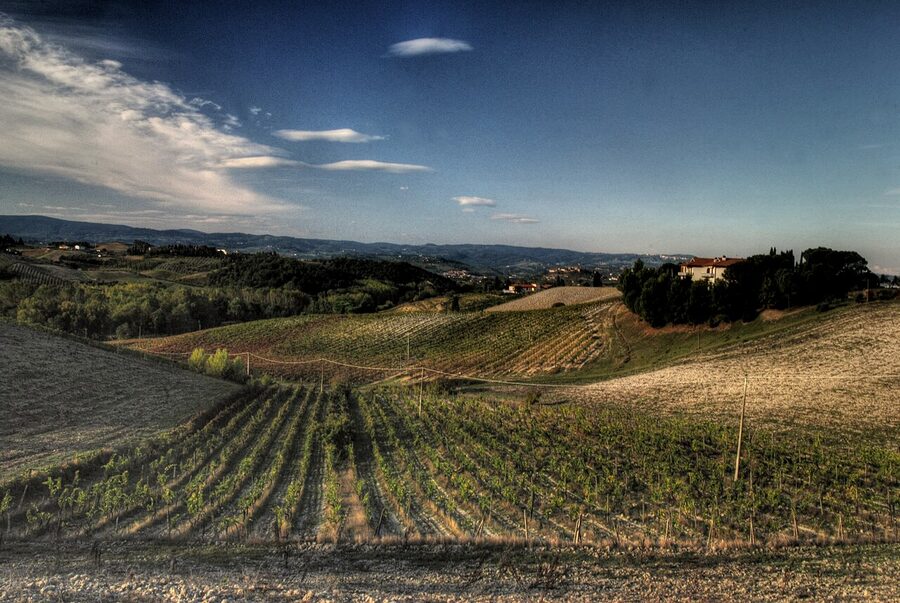 Chianti vineyard in Tuscany