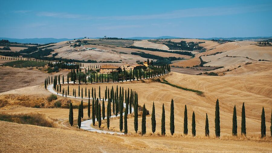 Cypress lined country road through the Tuscan countryside