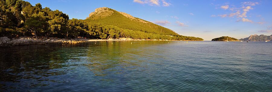 Platja de Formentor beach panorama with pine trees and turquoise sea